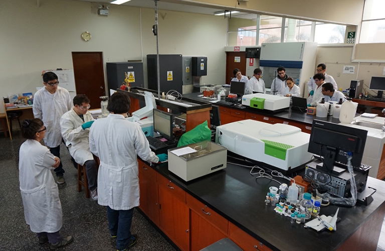 Laboratorios y talleres - Departamento Académico de Ciencias ...