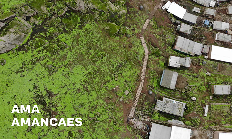 Ama Amancaes - Arquitectura PUCP