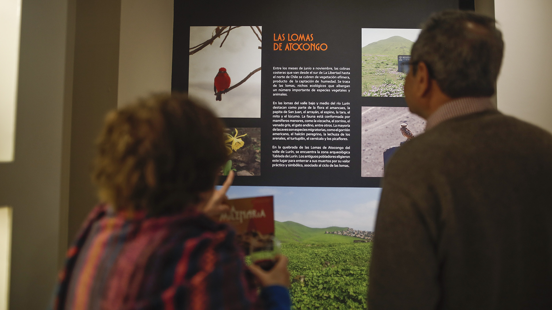 El Museo Josefina Ramos de Cox presenta “Lima milenaria, cultura y ...