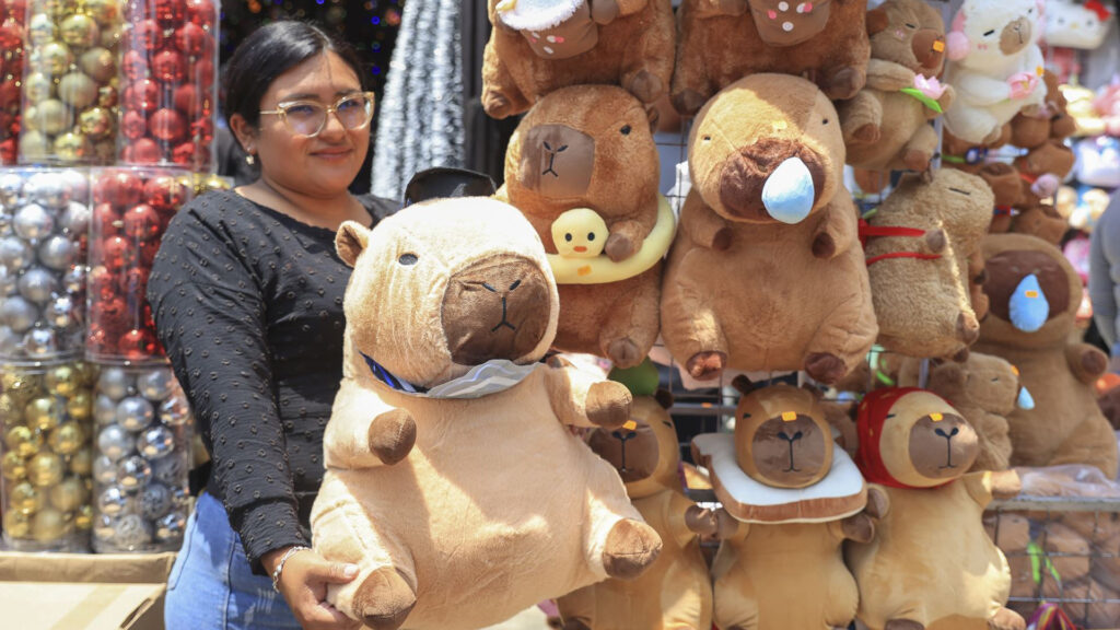 ¿Capibara o ronsoco?: conoce cómo vive en Perú este animal popular