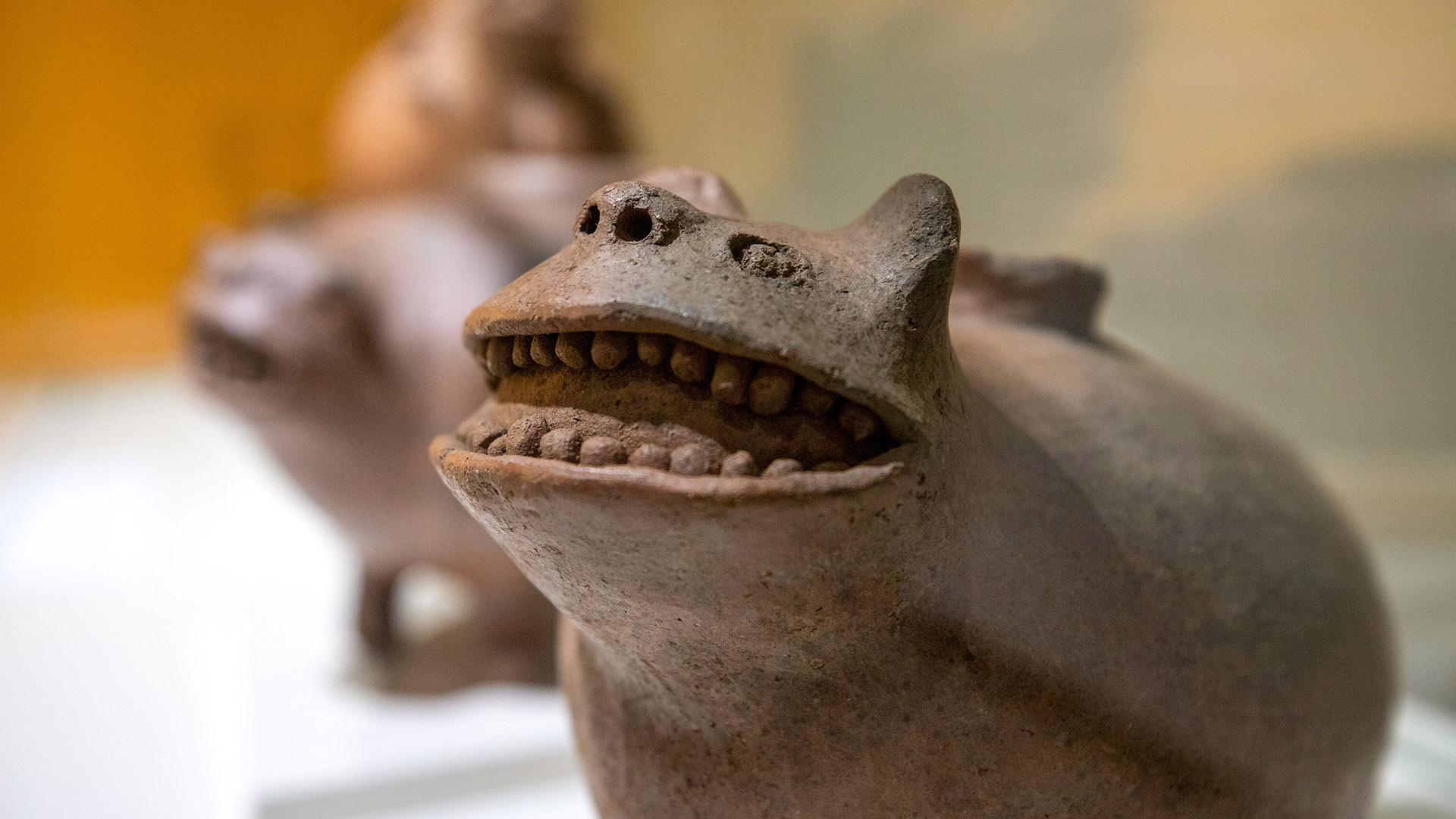 El Museo Josefina Ramos de Cox y su legado